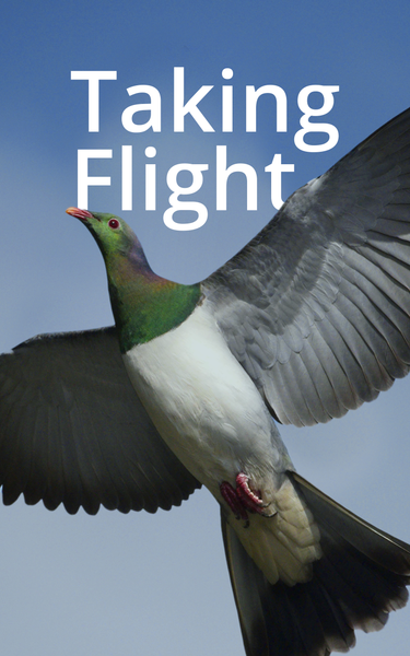 Taking Flight – Kereru Publishing